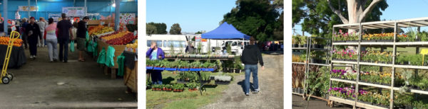 Geelong Showgrounds Market - Intown Geelong
