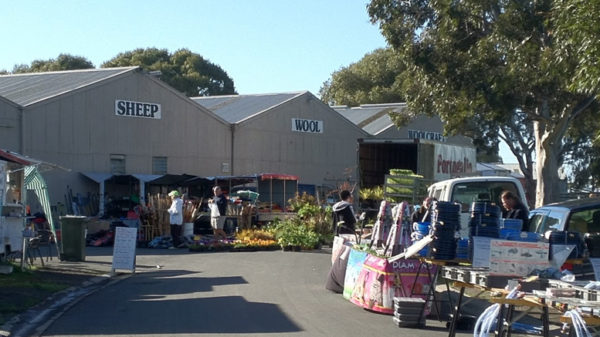 Geelong Showgrounds Market - Intown Geelong